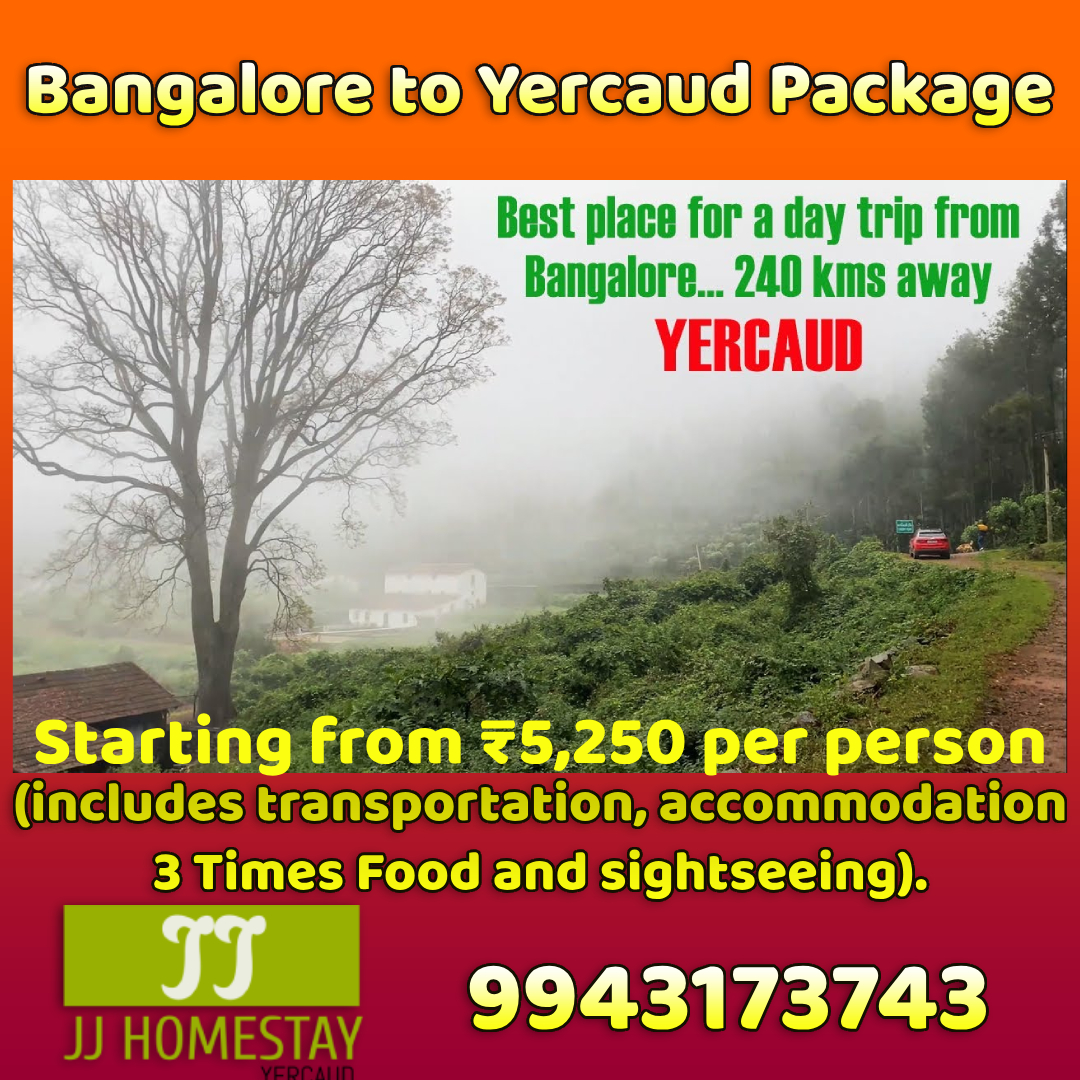 Bangalore to Yercaud Tour Packages - Jason Homestay